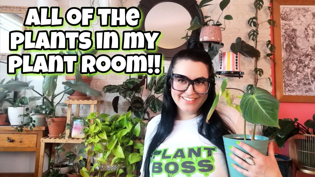Tour of my entire plant room: Houseplant collection showcase