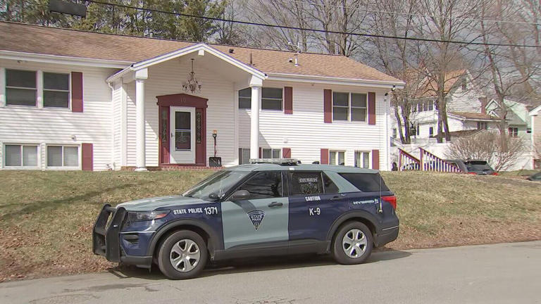 Mass. man accused of killing 90-year-old grandmother with skateboard ...