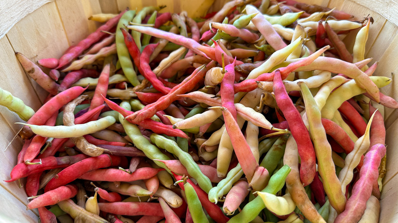 Green beans always taste better at a restaurant and it's clear why