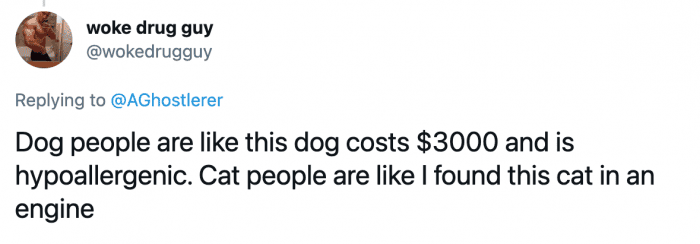 24 hilarious dog vs. cat tweets you’ll relate to