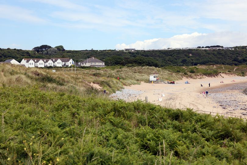 Swansea Council wants to build giant climbing frame in seaside village ...