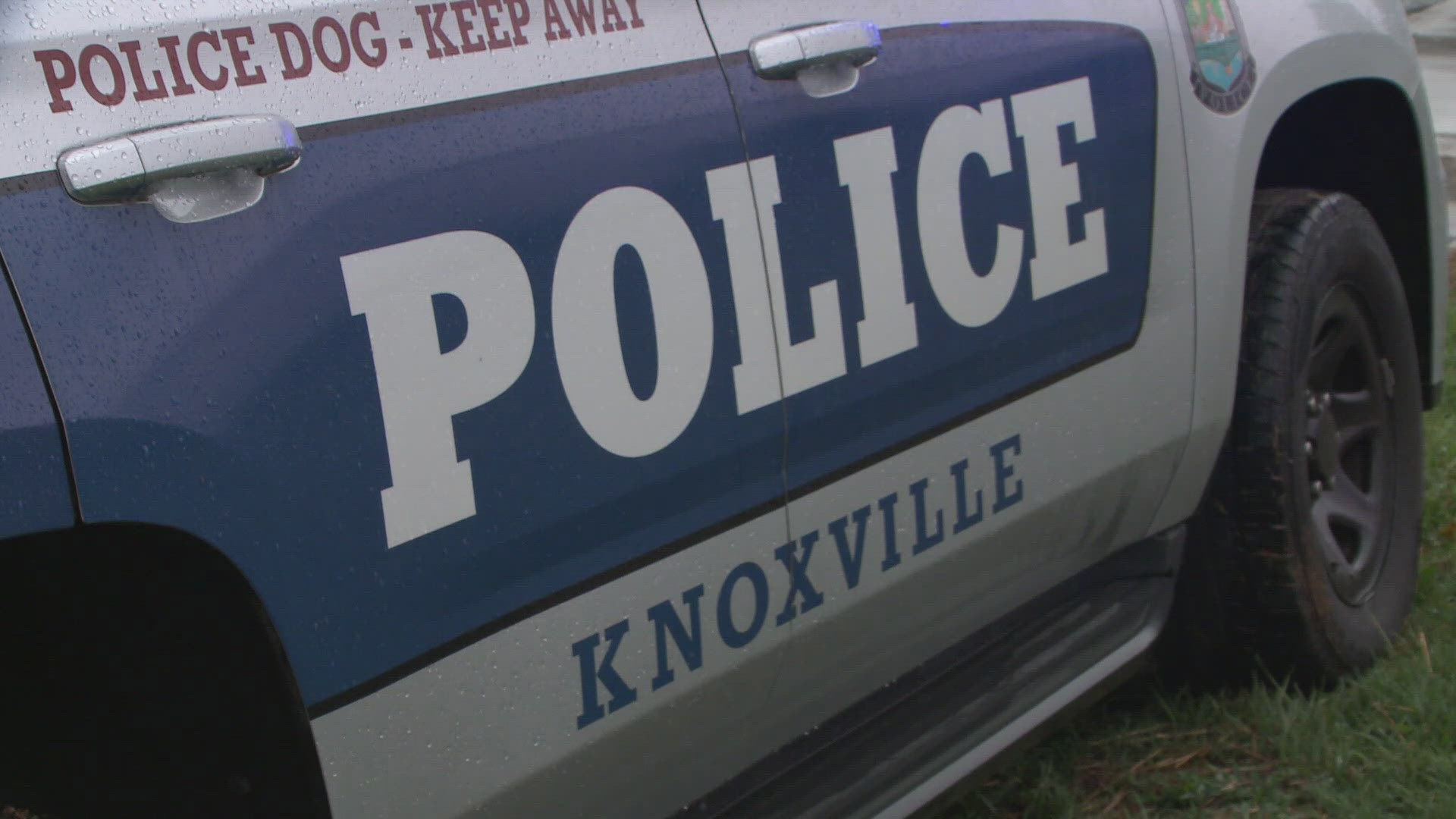 Council makes decision on alternative response task force