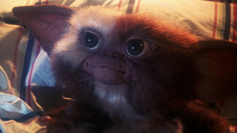 Dumb things in Gremlins everyone ignored