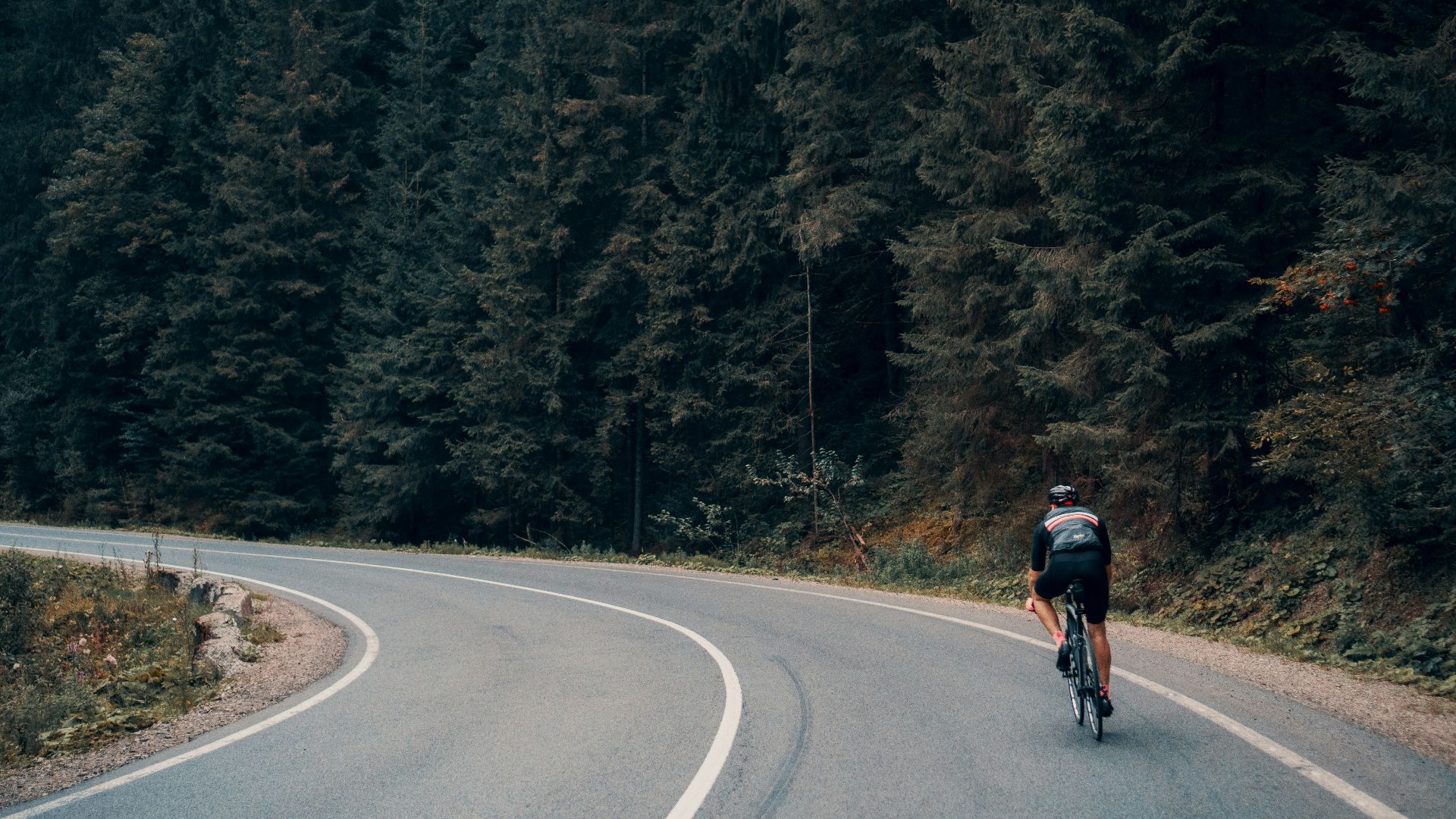 20 low-impact cardio options that build real stamina