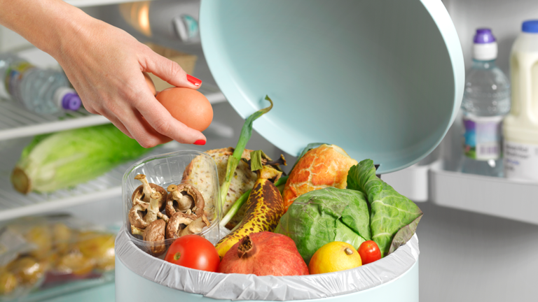 Funding shortage blamed for food waste delay