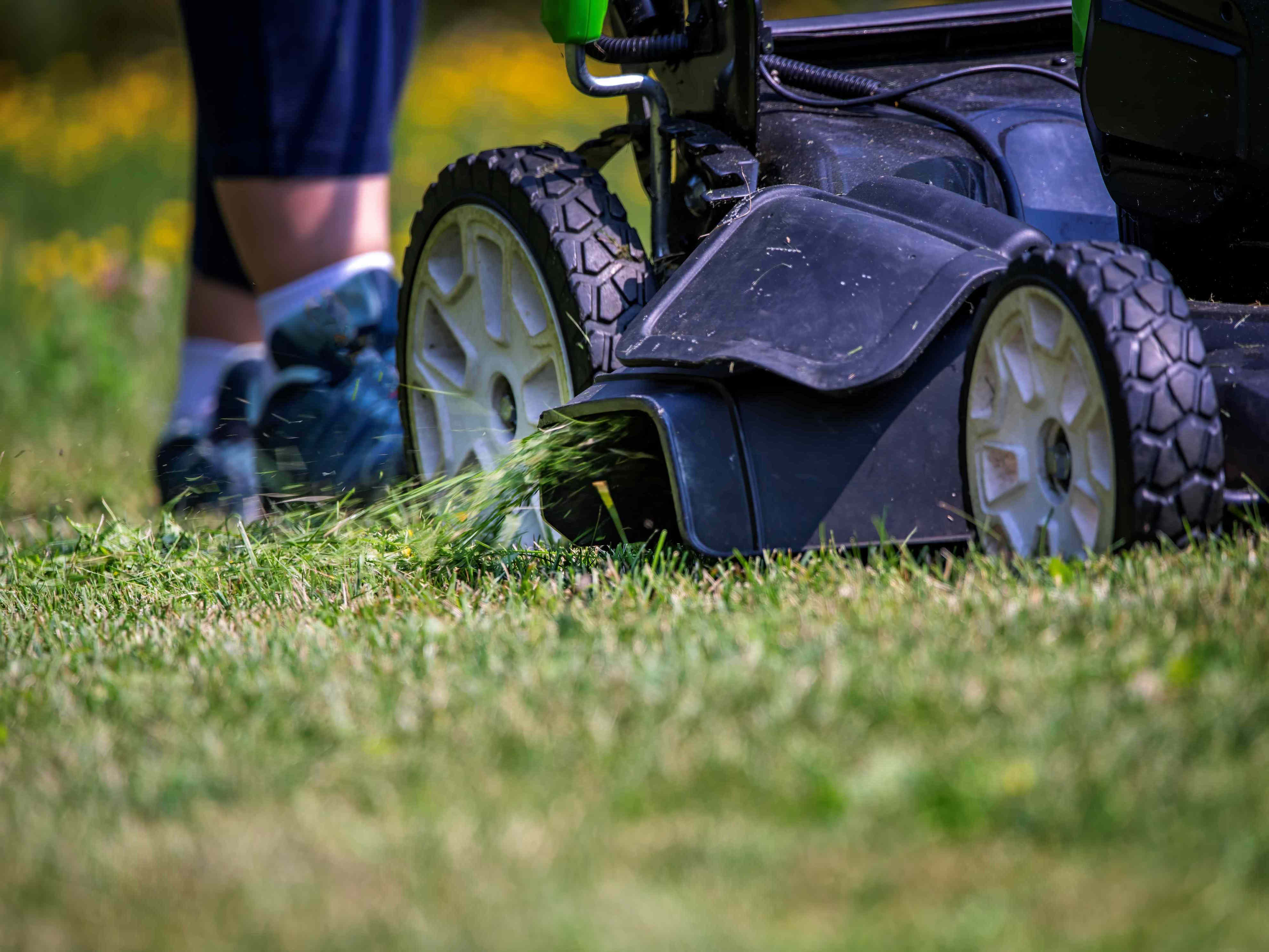 Mulching vs. bagging grass: Which method is better for your lawn?