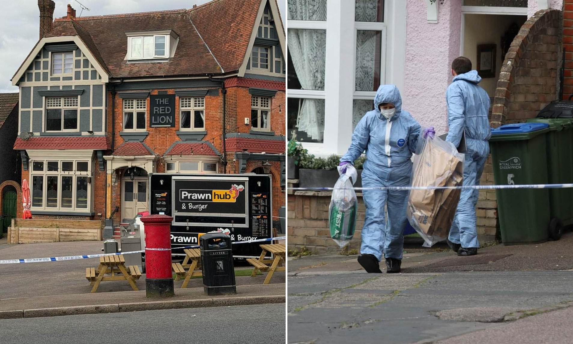 Man is arrested after woman in her 80s is stabbed to death outside her ...