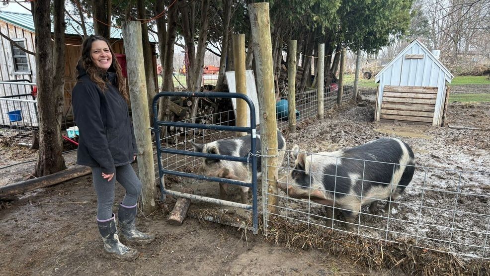 Wyoming County farm, animals slammed by flood: 'My pigs were swimming'