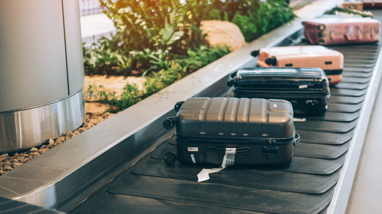 TSA-approved self-defense weapons you can actually put in your checked ...