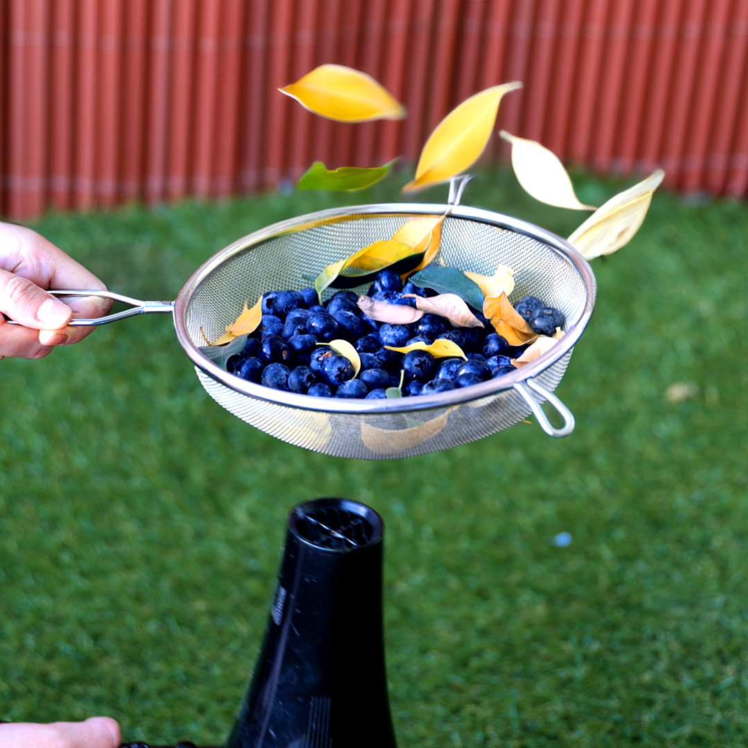Groene ideeën voor je tuin: maak je eigen paradijs!