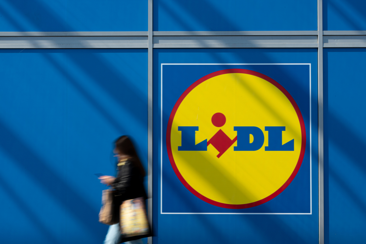 Lidl set to start selling plug-in solar panels that could cut your ...