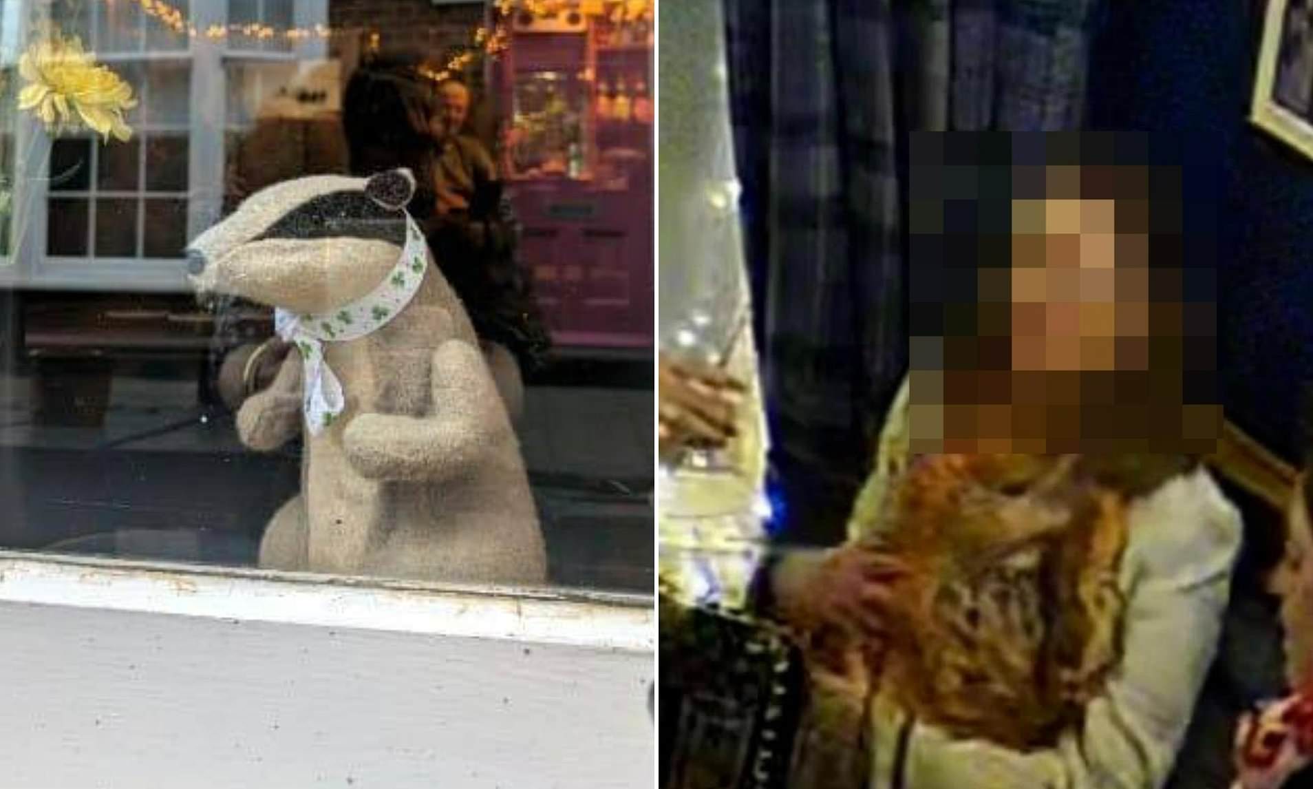 Hunt for badger bandit who took off with pub's 35-year-old mascot