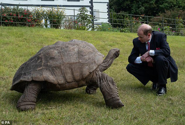 World's oldest known tortoise, 193, is alive and well: News of Jonathan ...