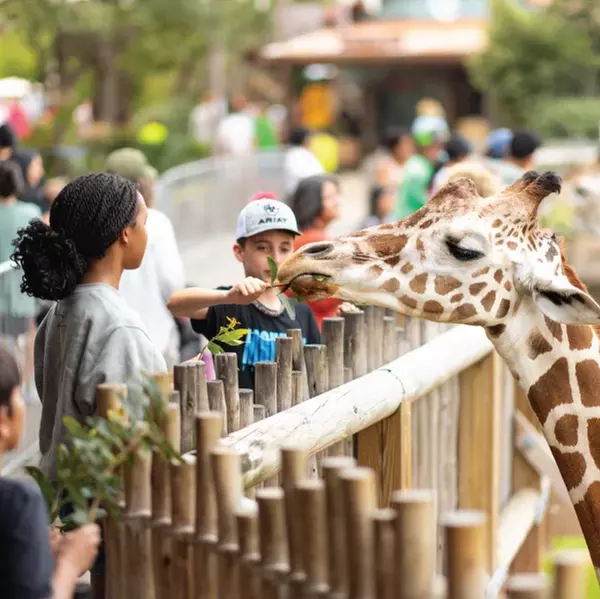 Find kid-friendly events and activities for April 2026