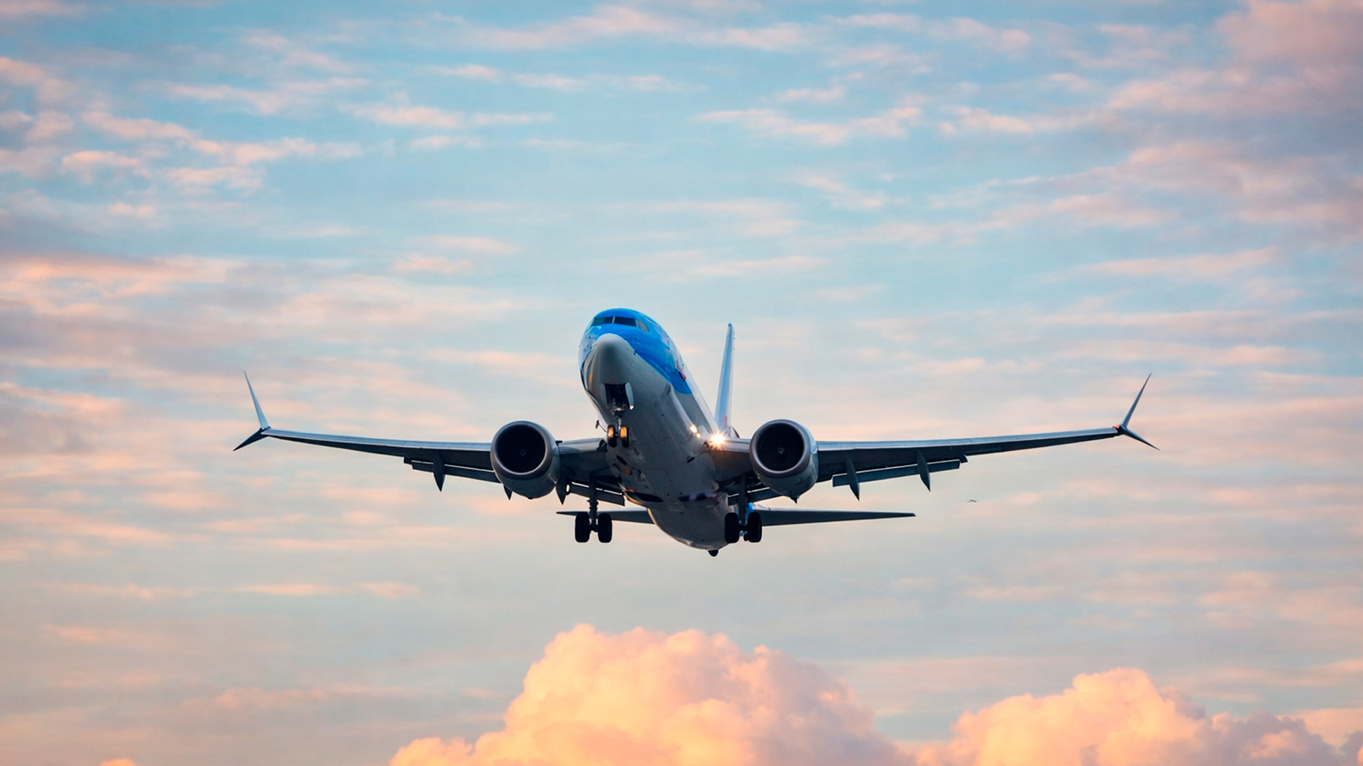 Plane too fast on landing goes around