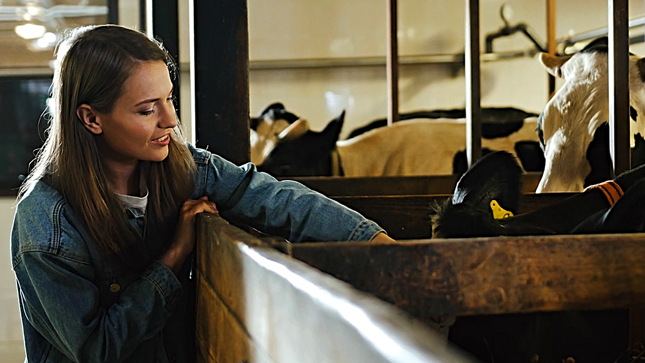 Watch what happens when a girl plays with cows