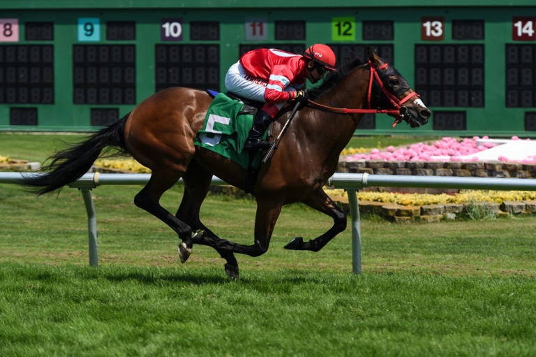 Outrage as Bay Area racetrack to be turned into giant park at taxpayer ...