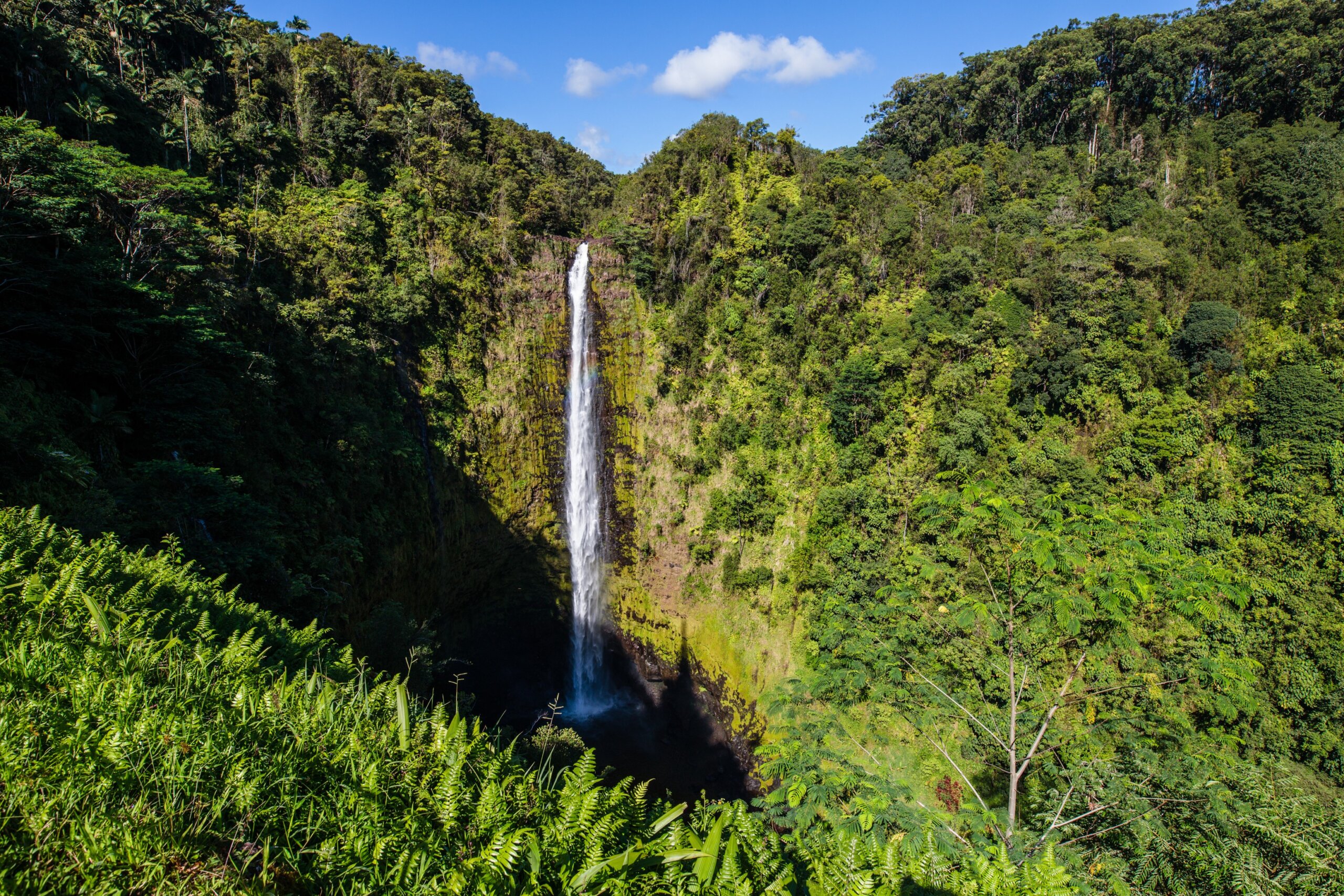 Why Hilo Hawaii Should Be Your Next Island Escape