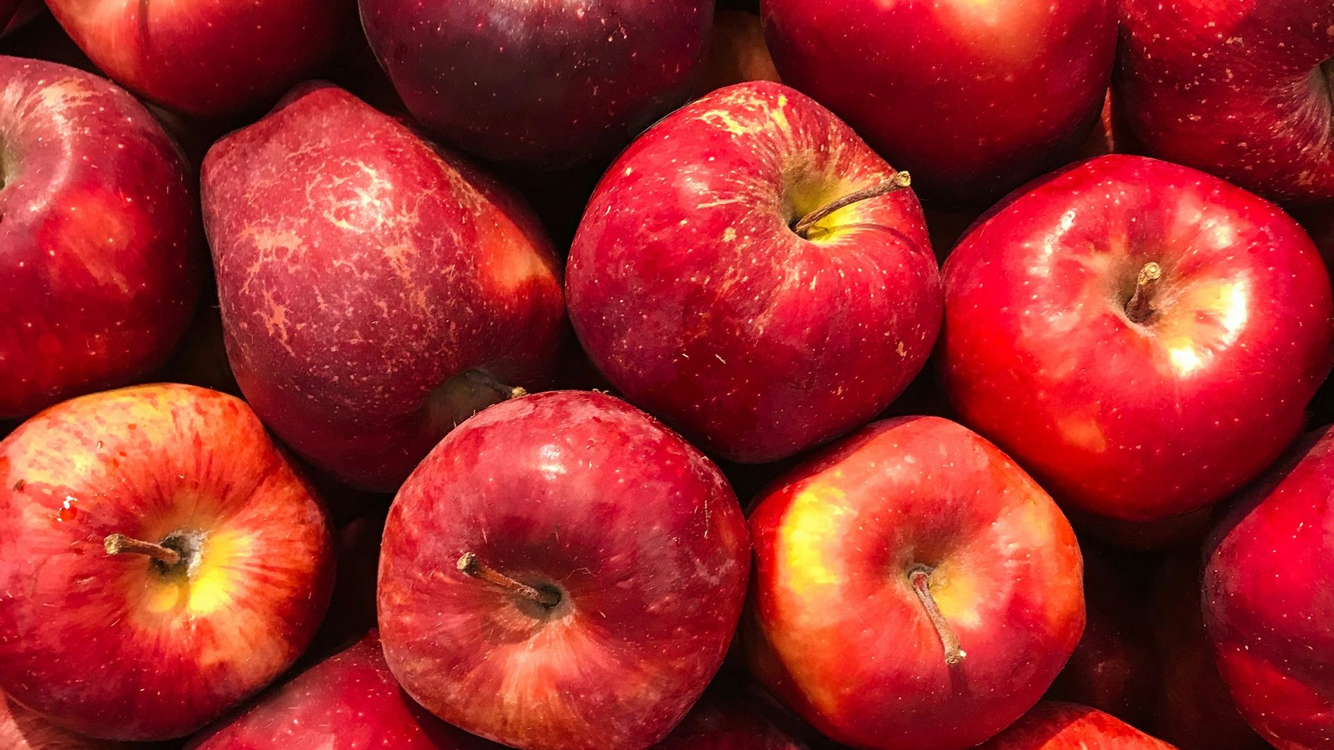 20 bizarre genetically modified foods that exist