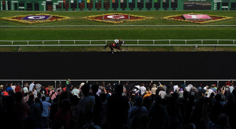 Outrage as Bay Area racetrack to be turned into giant park at taxpayer ...