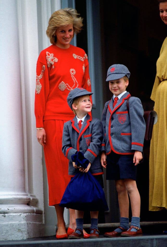 Prince William makes renewed call for cause inspired by mum Princess Diana