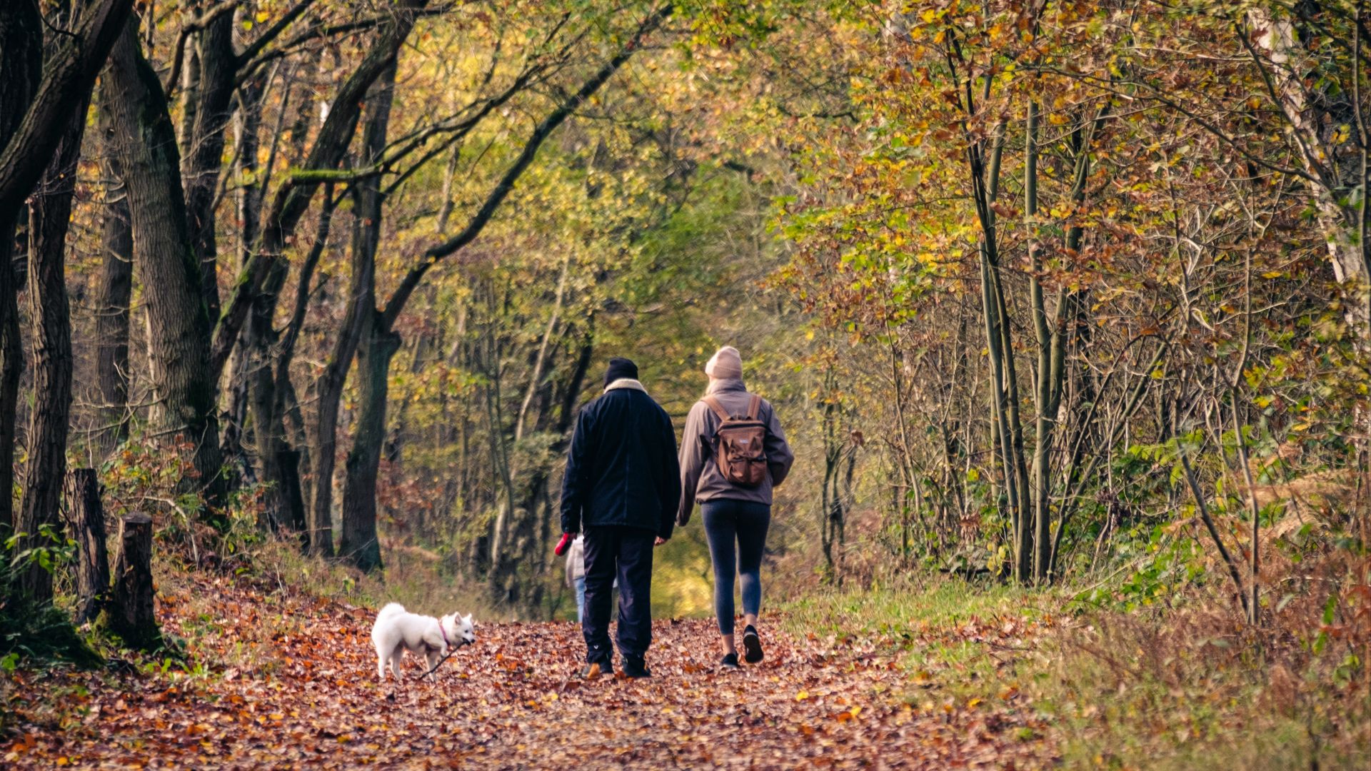 20 small habits that can bring your resting heart rate down