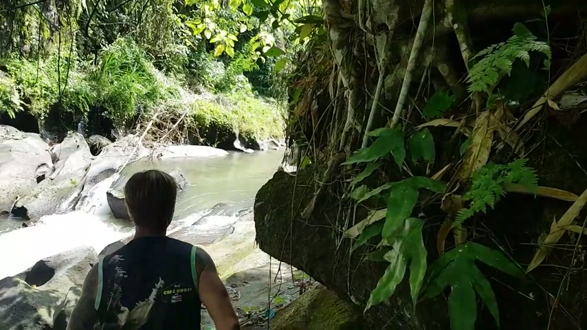 Night herping expedition leads to discovery of incredible snake species