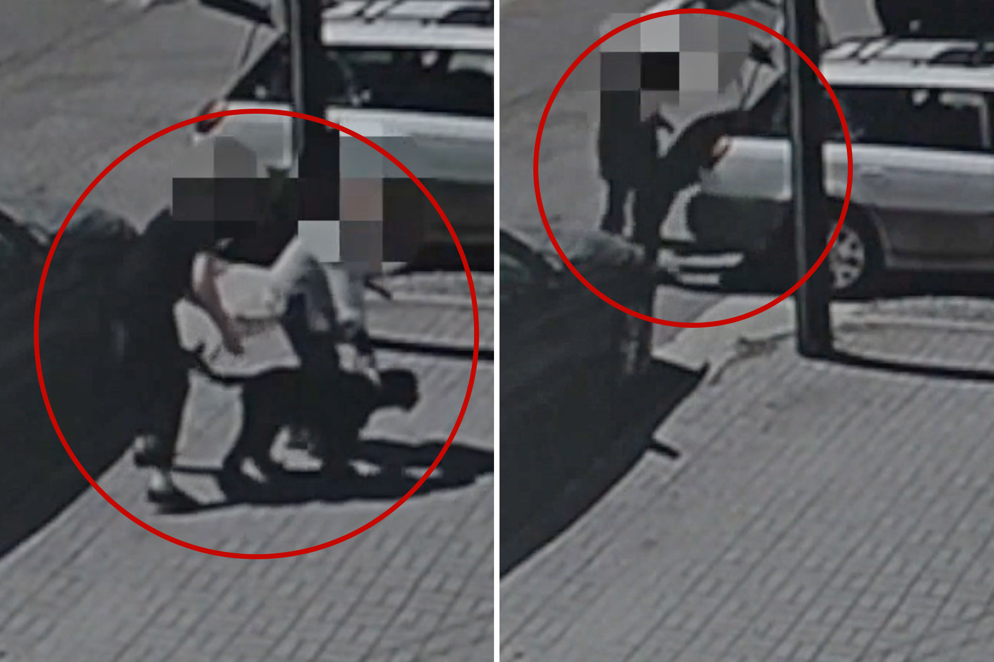 Heartless dognappers caught on camera stealing Labradoodles Coco Chanel ...
