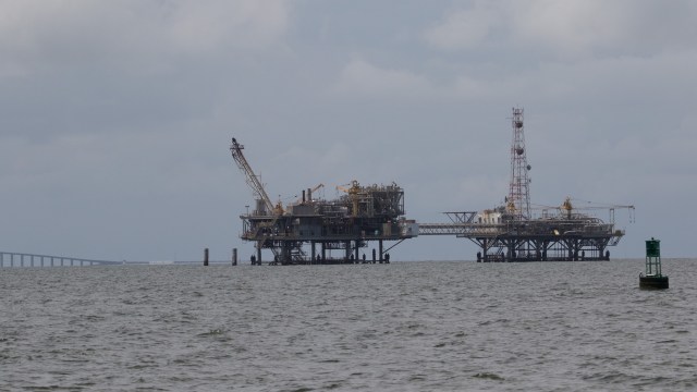 US government decides oil and gas companies can ignore endangered ...