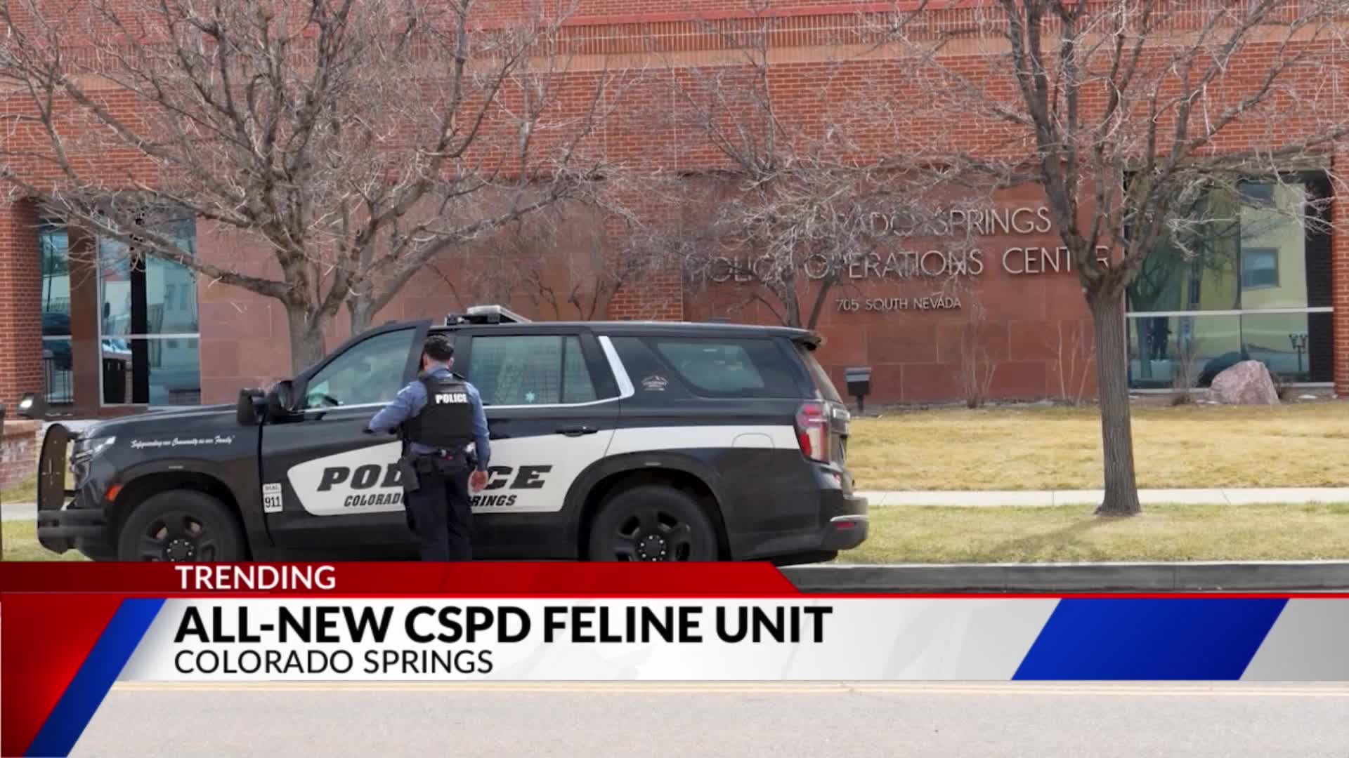 All-new CSPD feline unit: Colorado celebrates April Fools 2026