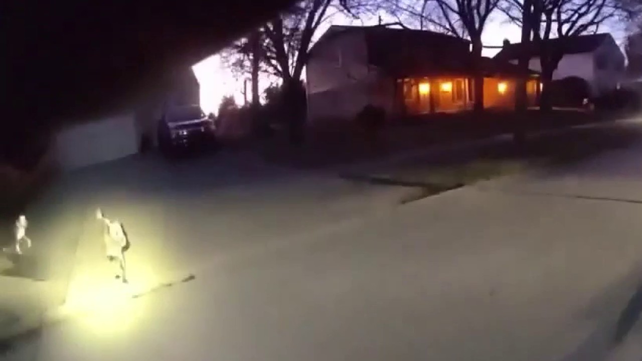 New video of Plymouth dog mauling aftermath