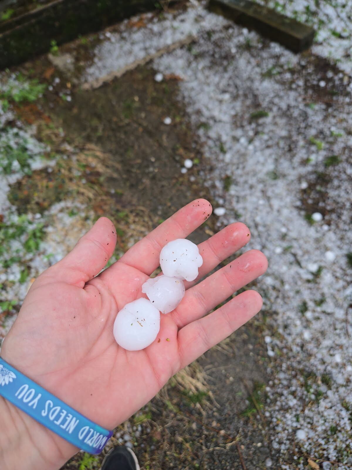 Storms knock down trees, power lines across Mid-Ohio Valley