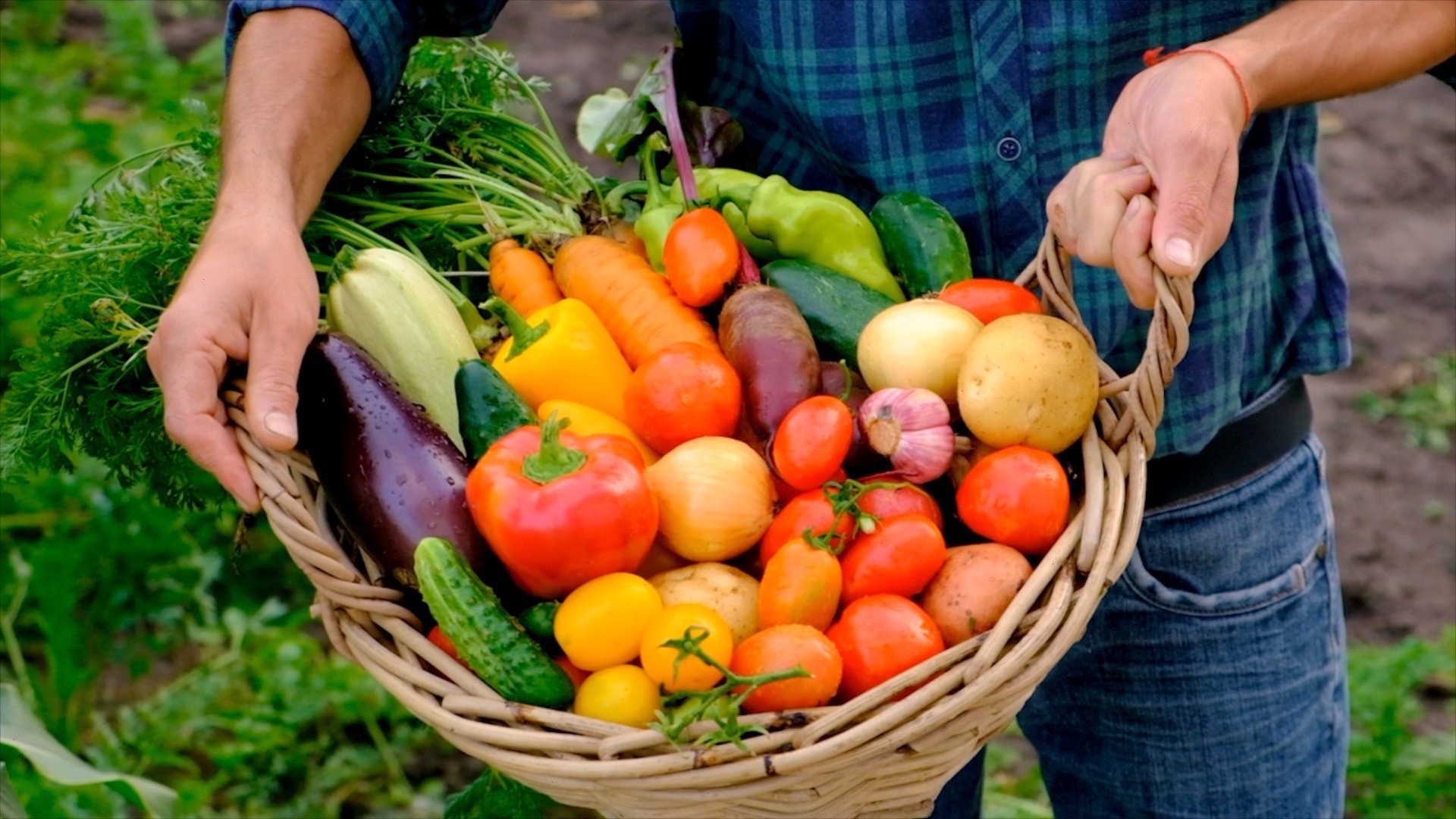 How to start a vegetable garden: Practical beginner tips