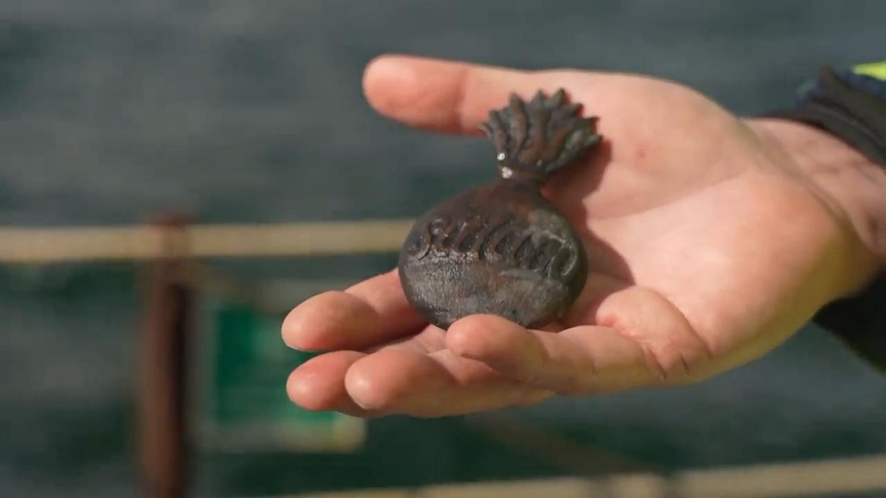 Danish warship sunk by Admiral Nelson's fleet unearthed after 200 years