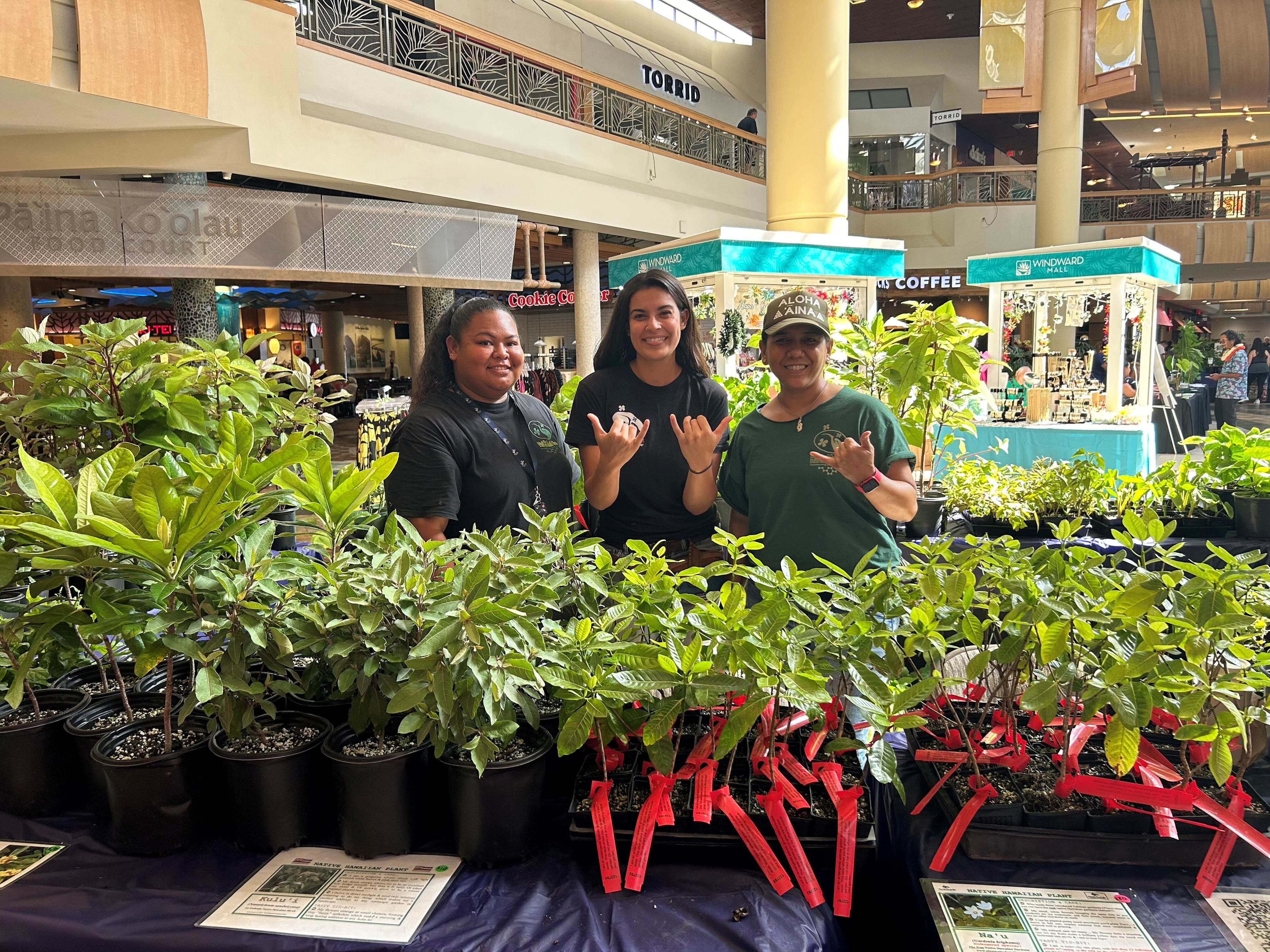Hooulu Heeia returns to Windward Mall for Native Hawaiian Plant Month