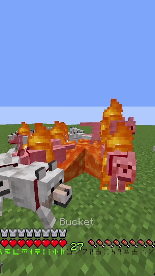 Wolves suck in Minecraft! Foxes are better for PVP and also just cute