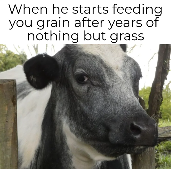 21 farm animal memes to put you in a moo-d and join the barnyard chaos