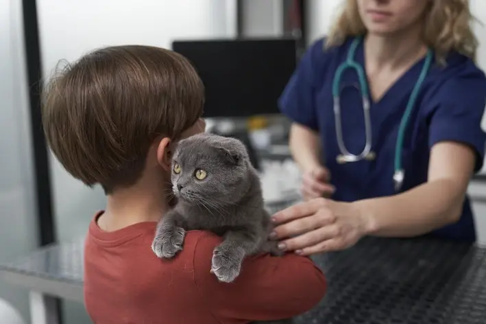 FeLV em gatos: saiba o que é e como proteger o seu pet da leucemia felina