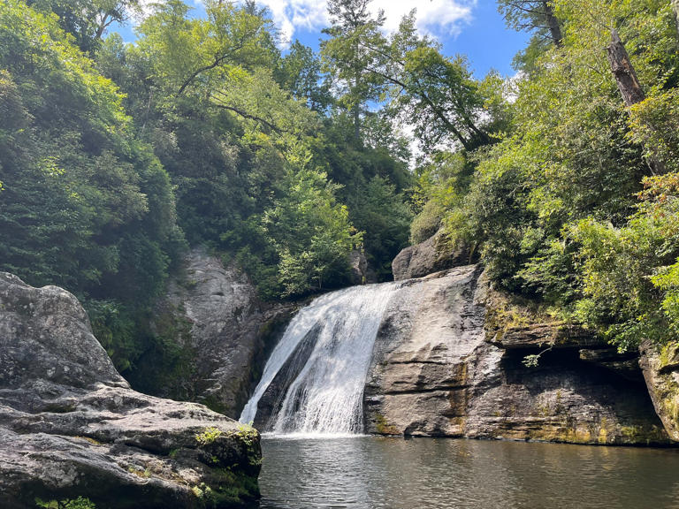 Forest research sites in WNC spared from federal cuts