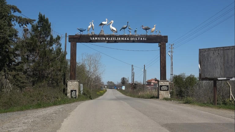 Leylek Ormanı şenlendi: Görenler hayran kaldı