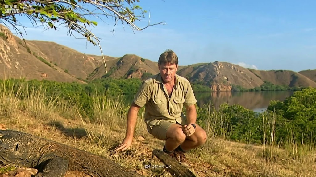 Steve Irwin filmt einen 2,5m Stachelrochen - Sekunden später trifft der ...