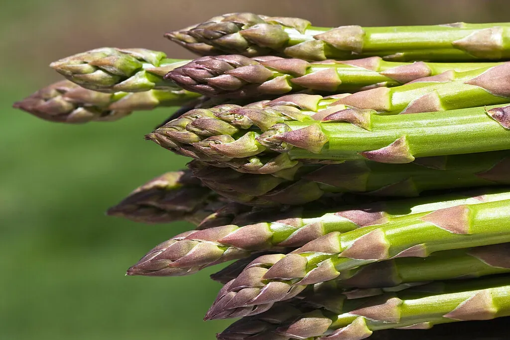 10 spring veggies that'll make you forget it was ever winter