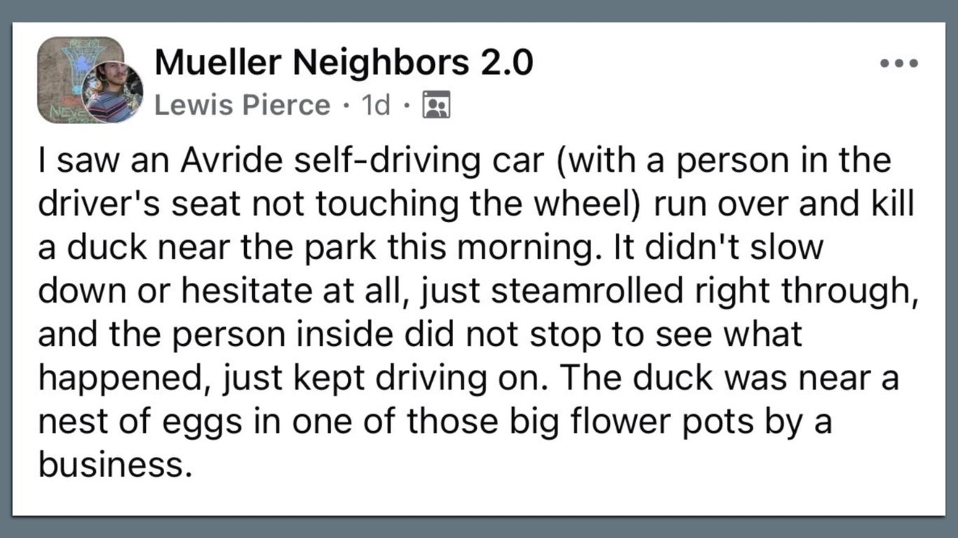 Residents say self-driving car killed duck in Mueller