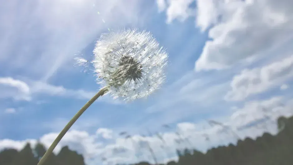 Meteorologists warn: These 7 DIY weather modifications are illegal, yet ...