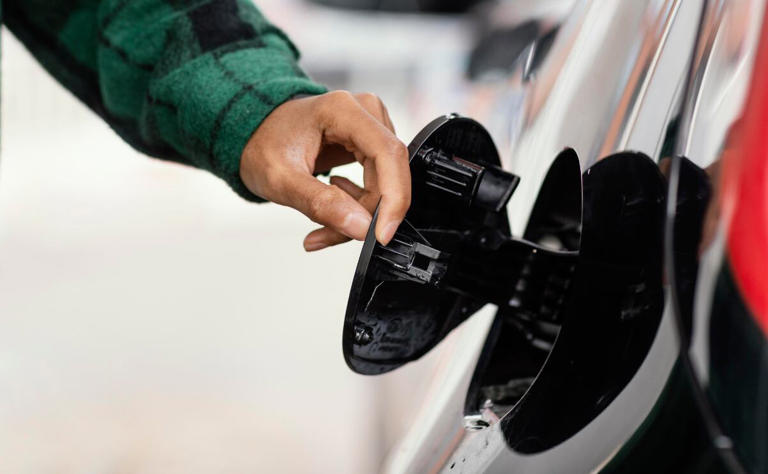 Qué autos sí pueden usar gasolina magna