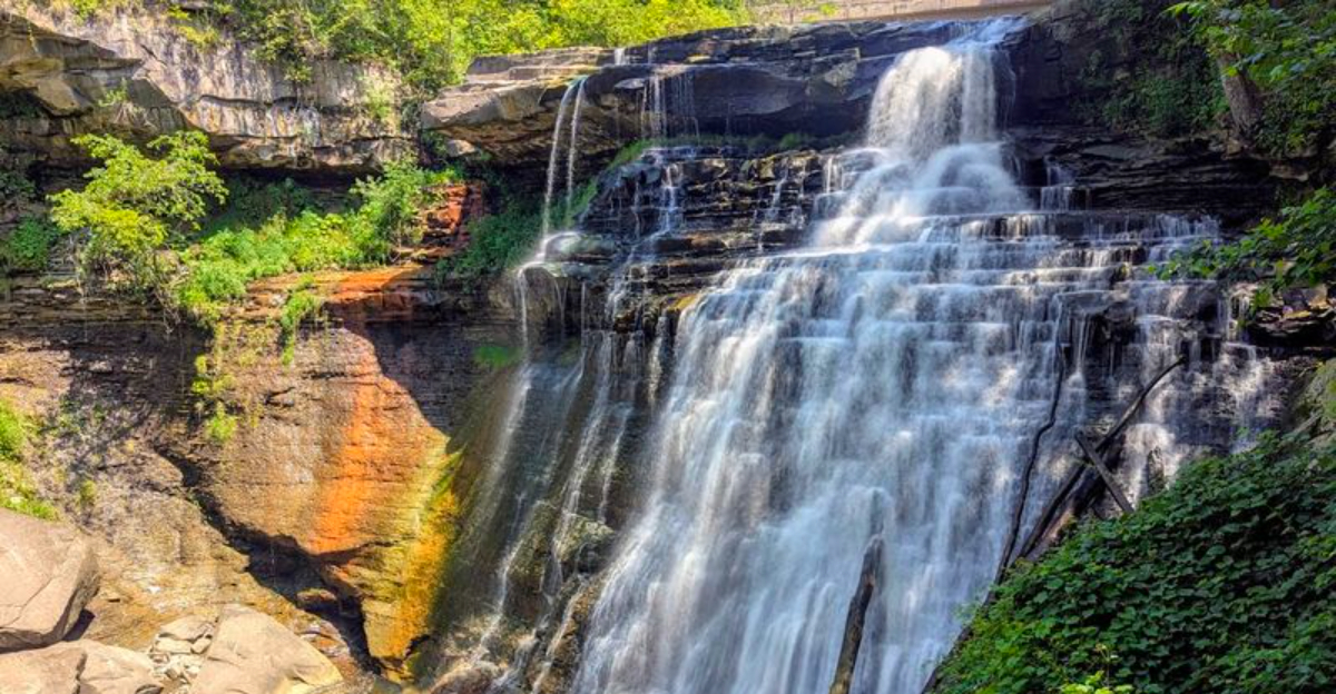 10 most dog-friendly national parks in the US you can explore together