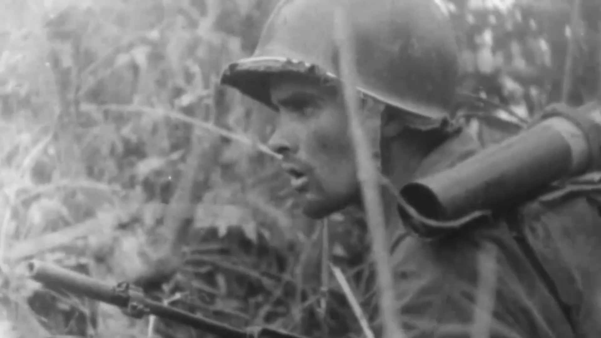 Operation Forager: The largest amphibious assault in the Pacific and ...
