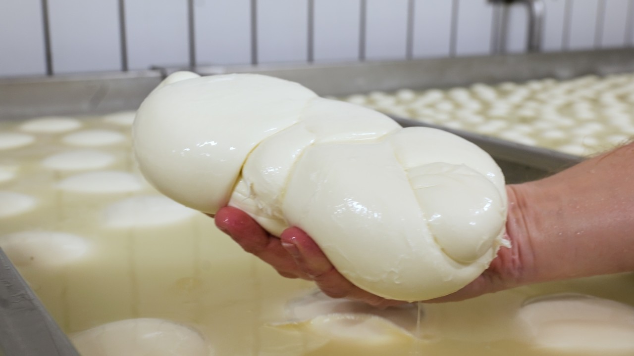 How traditional Italian buffalo mozzarella balls are made