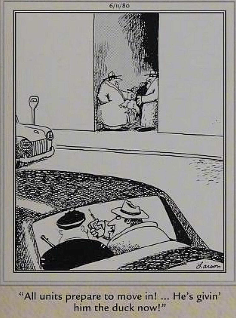10 best The Far Side comics from the cartoon's first year, ranked