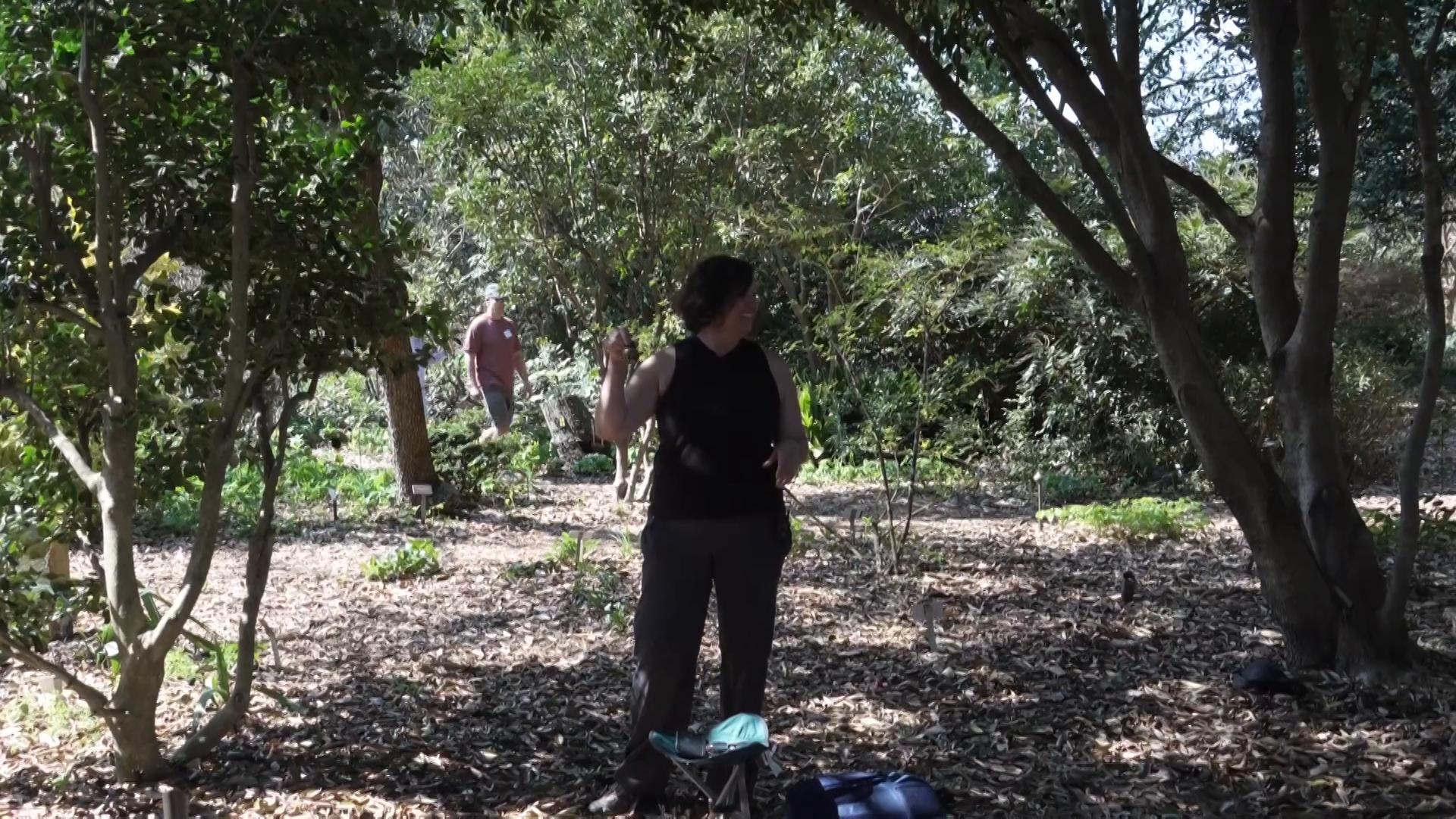 People "bathe" in nature to get respite from chaotic news cycle